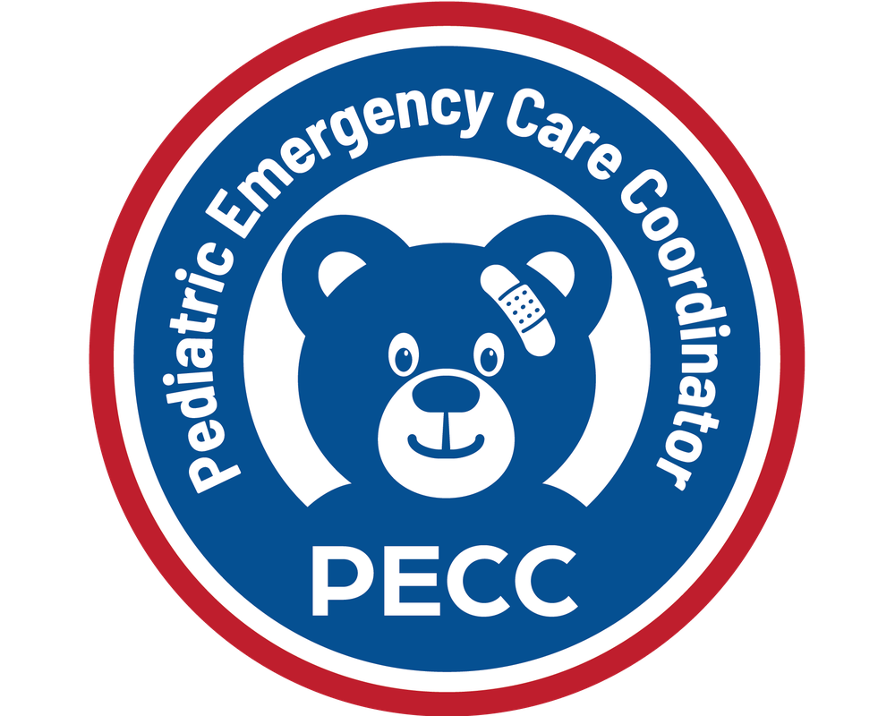 State Partnership Program Dashboard • EIIC