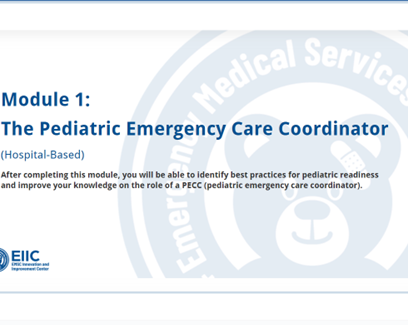 State Partnership Program Dashboard • EIIC